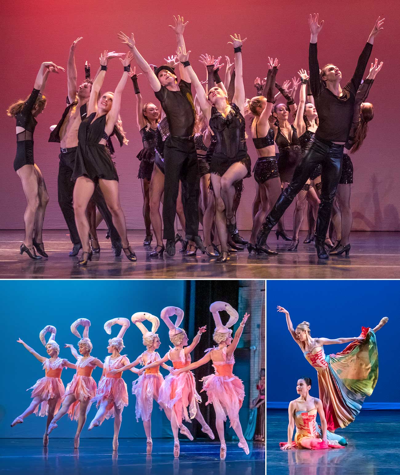 Touring Programs – American Midwest Ballet