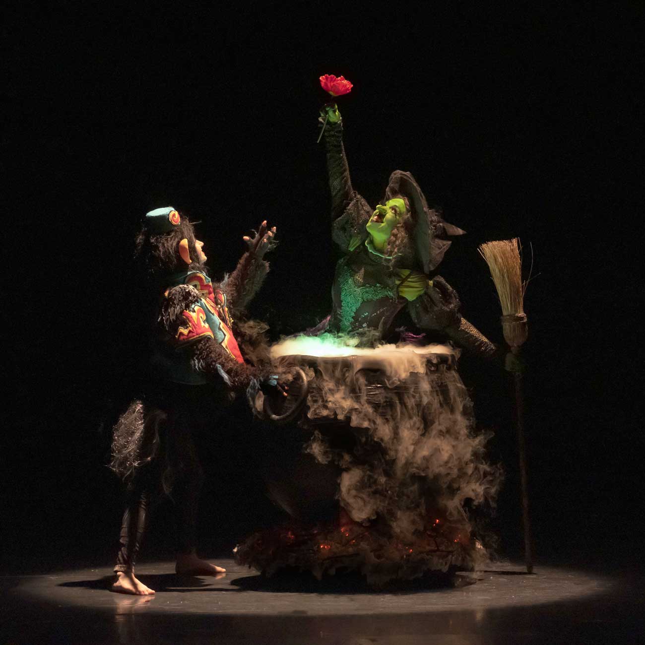 A Special Message from the Wicked Witch! – American Midwest Ballet